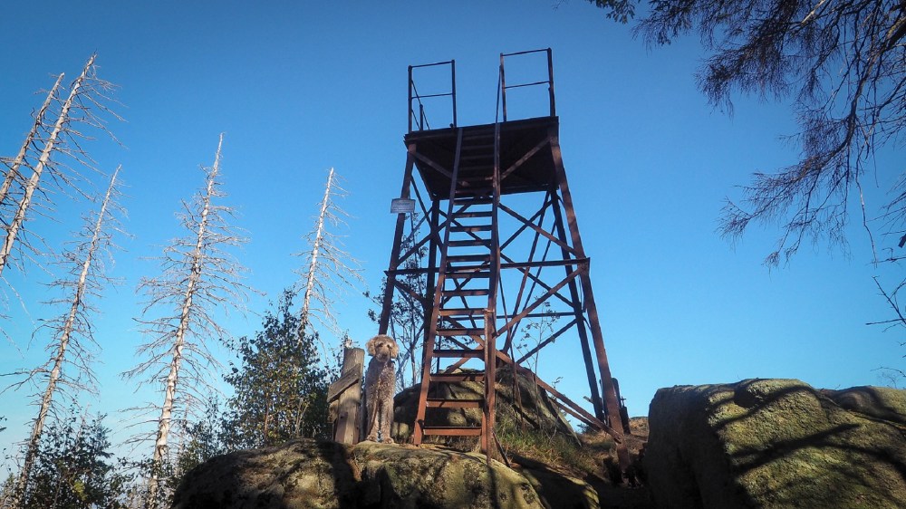 Meine 7 schönsten Fotos aus dem Harz [Fotoparade 2-2018] – anwolf.blog