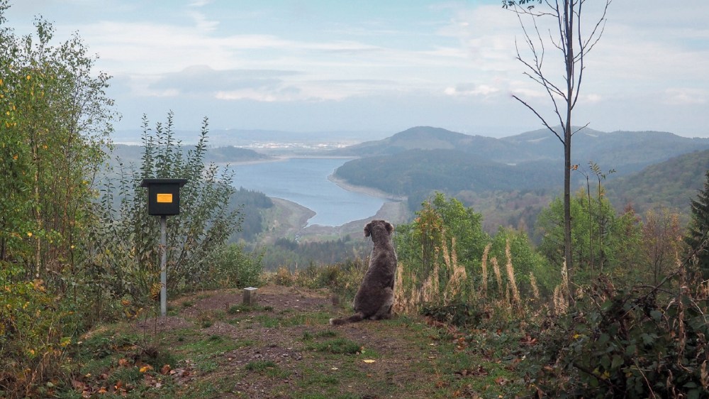 Meine 7 schönsten Fotos aus dem Harz [Fotoparade 2-2018] – anwolf.blog