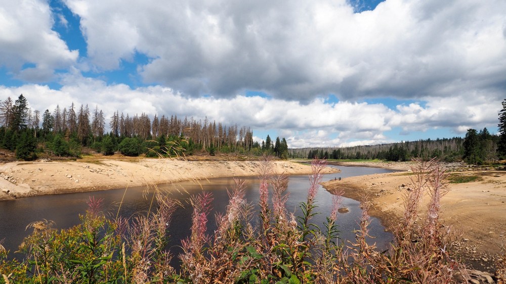 Meine 7 schönsten Fotos aus dem Harz [Fotoparade 2-2018] – anwolf.blog